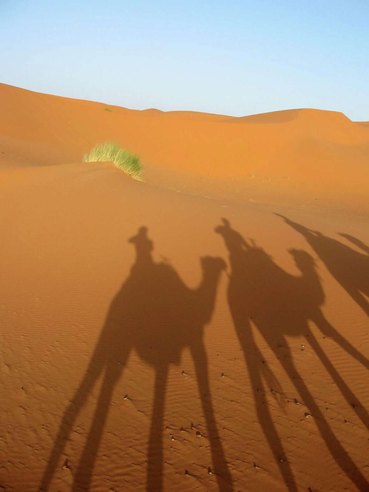 Sand dunes, camels and clay castles in Moroccan desert