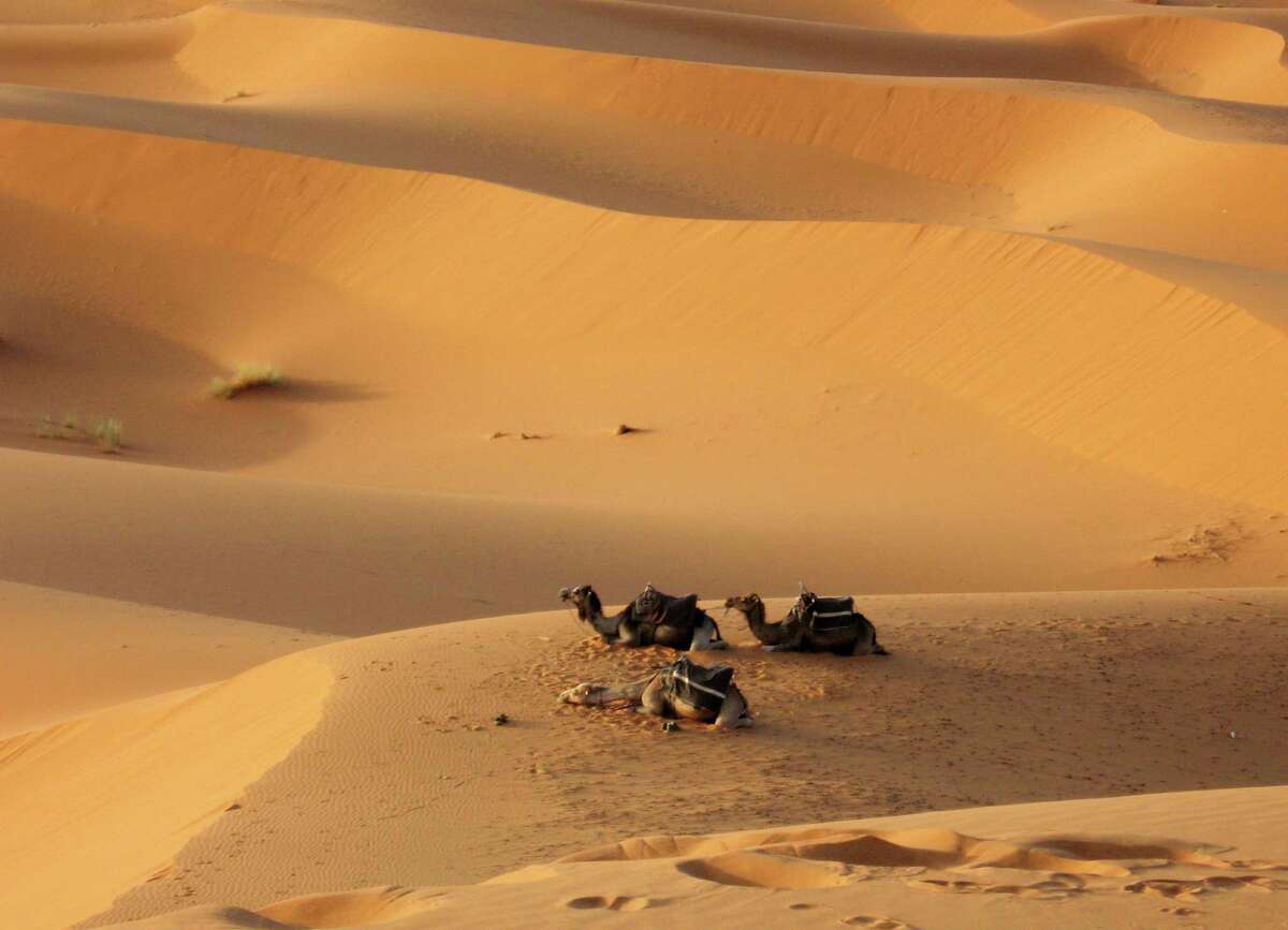 Sand dunes, camels and clay castles in Moroccan desert