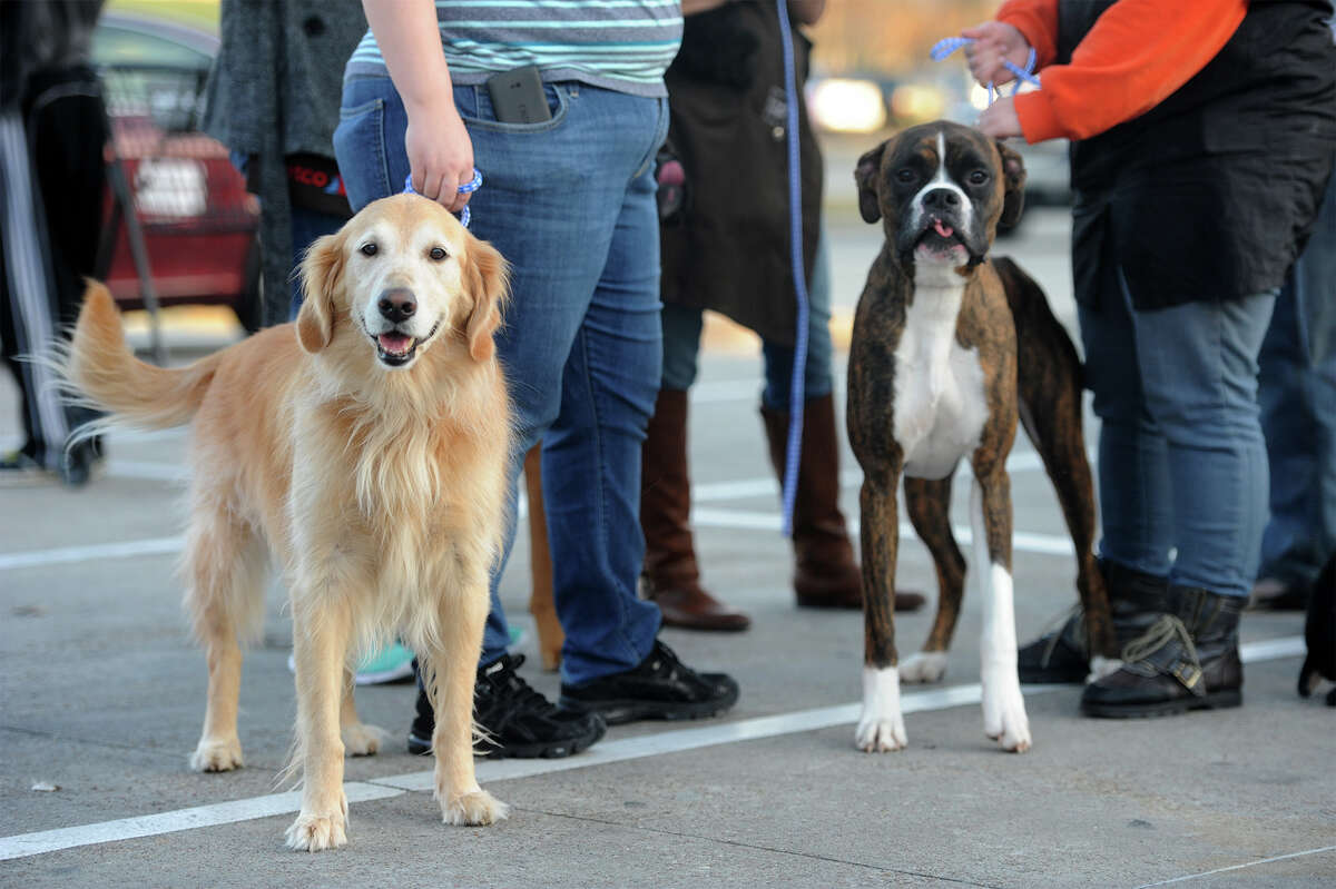 Trash can fire at Petco leads to animal evacuation