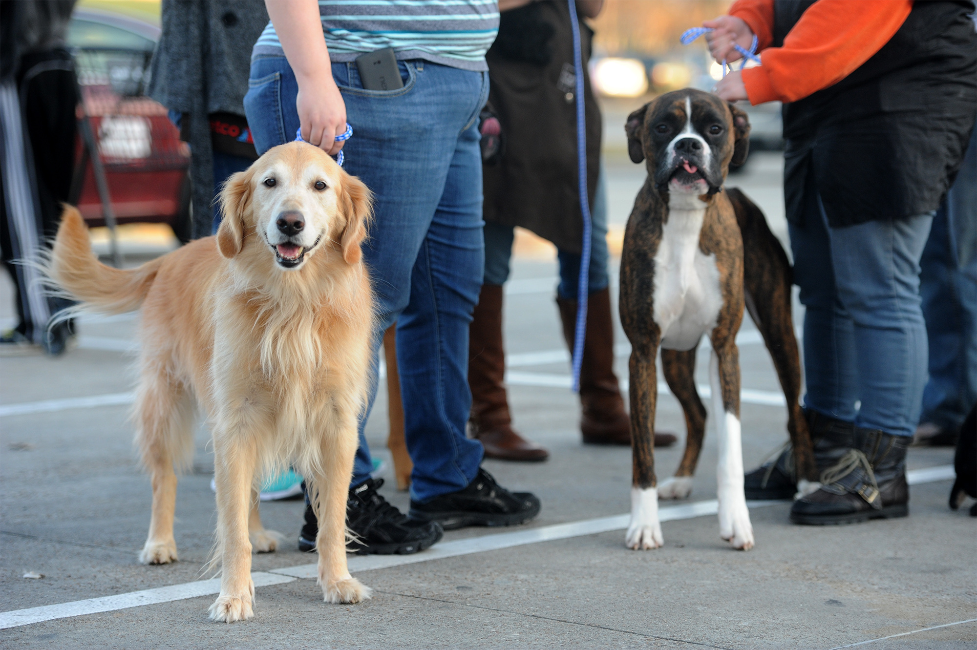 Trash can fire at Petco leads to animal evacuation