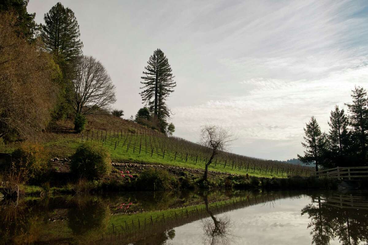 A new generation of Mondavis branches out with Pinot Noir