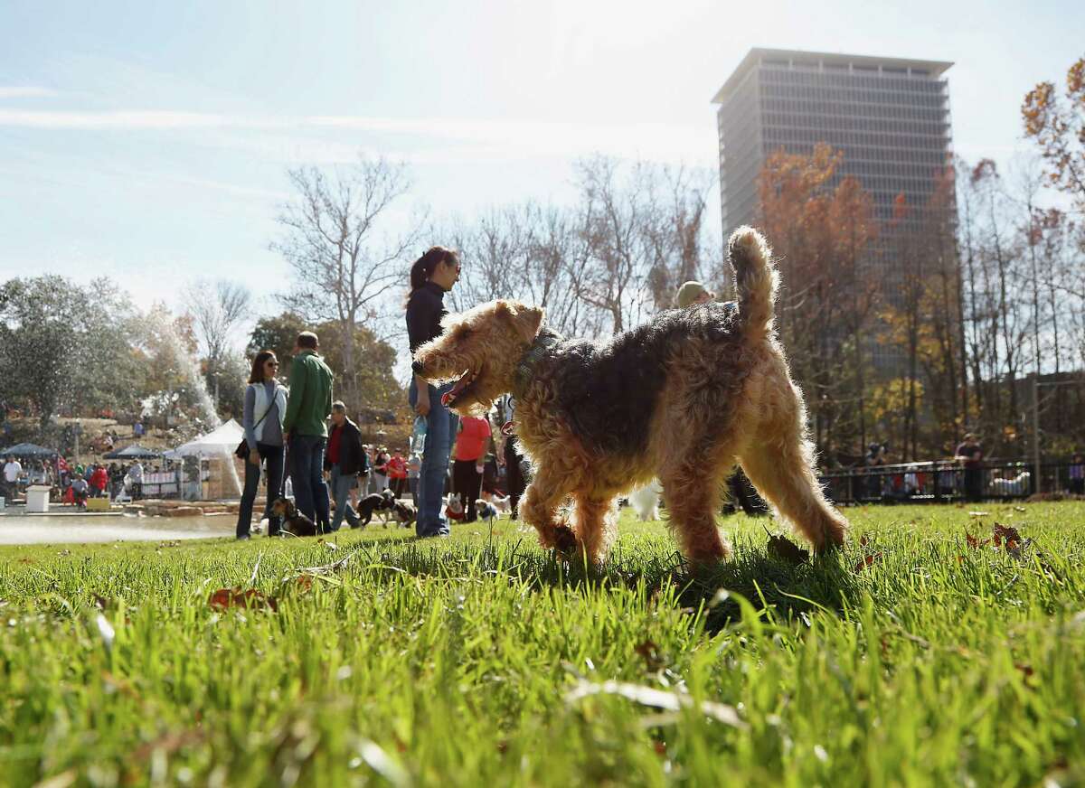 Johnny Steele Dog Park opens in Houston