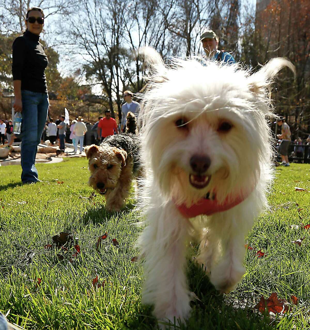 Johnny Steele Dog Park opens in Houston