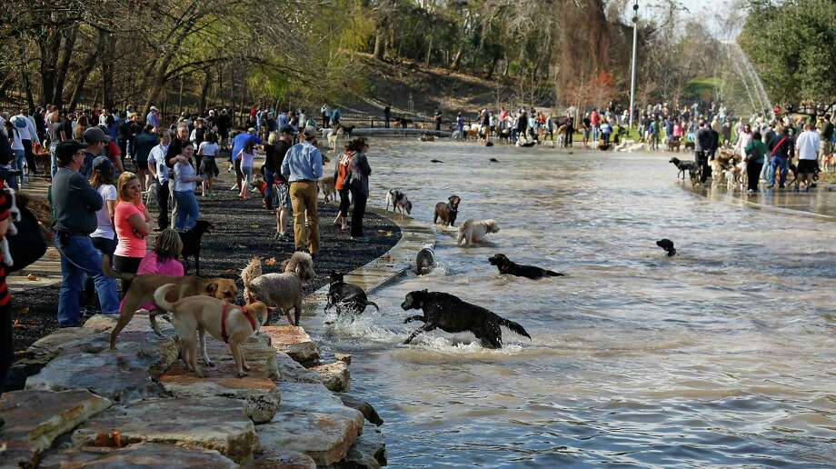 Buffalo Bayou Partnership plots Johnny Steele Dog Park's comeback later ...