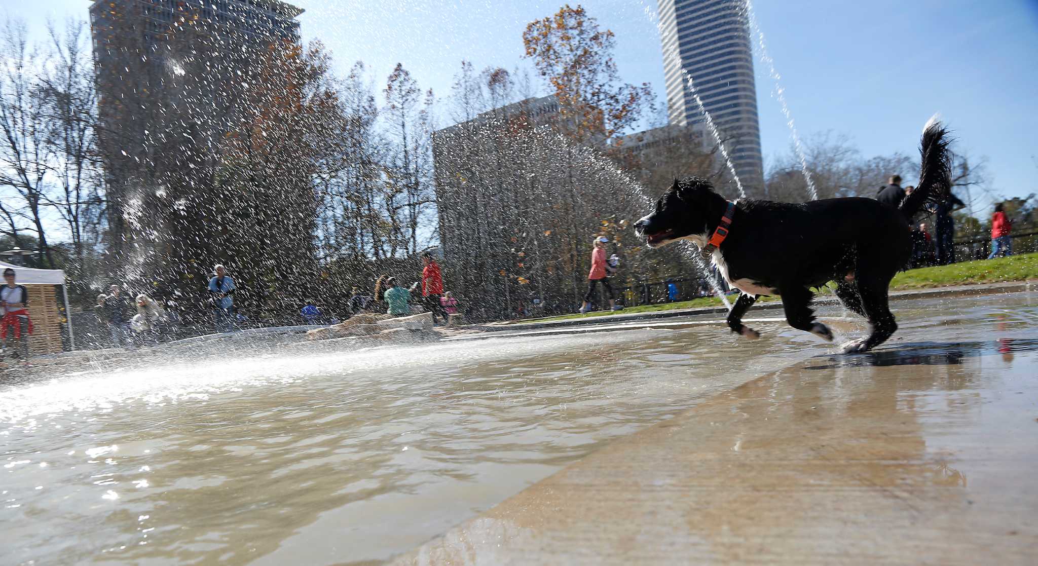 Heavily-hyped dog park finally opens off Allen Parkway