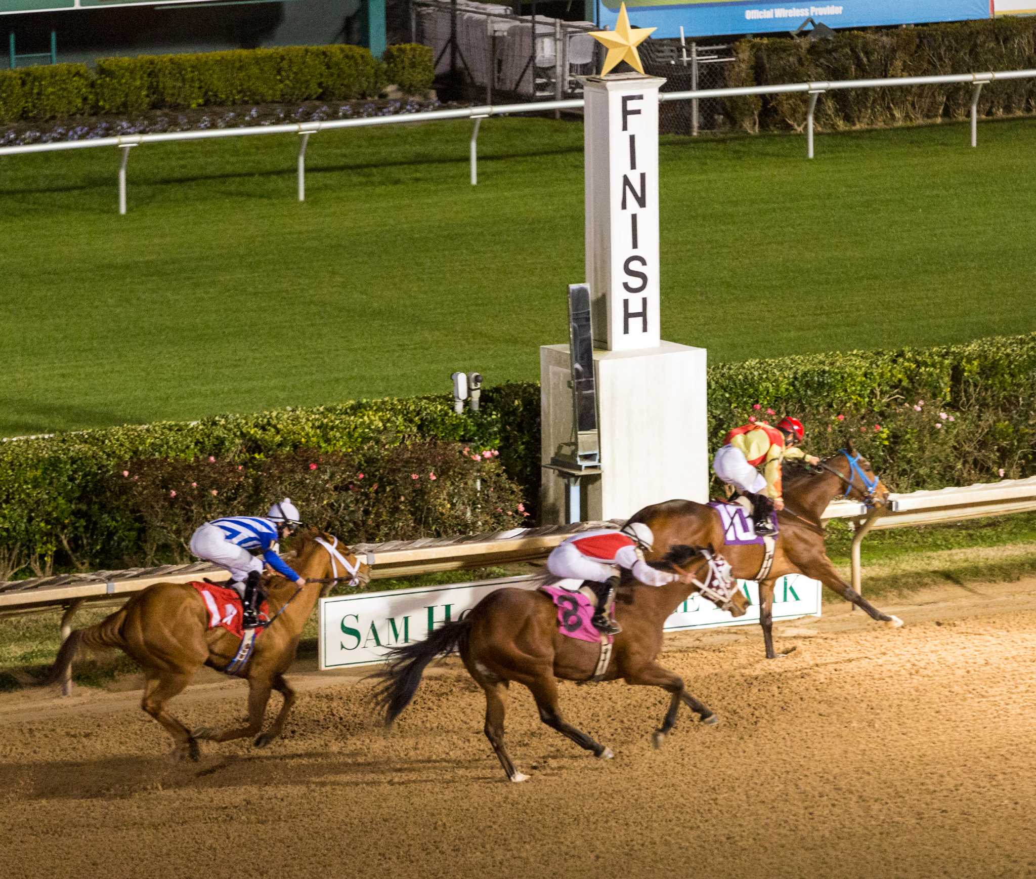 Early Fantasy wins by a neck in Sam Houston Race Park thoroughbred ...