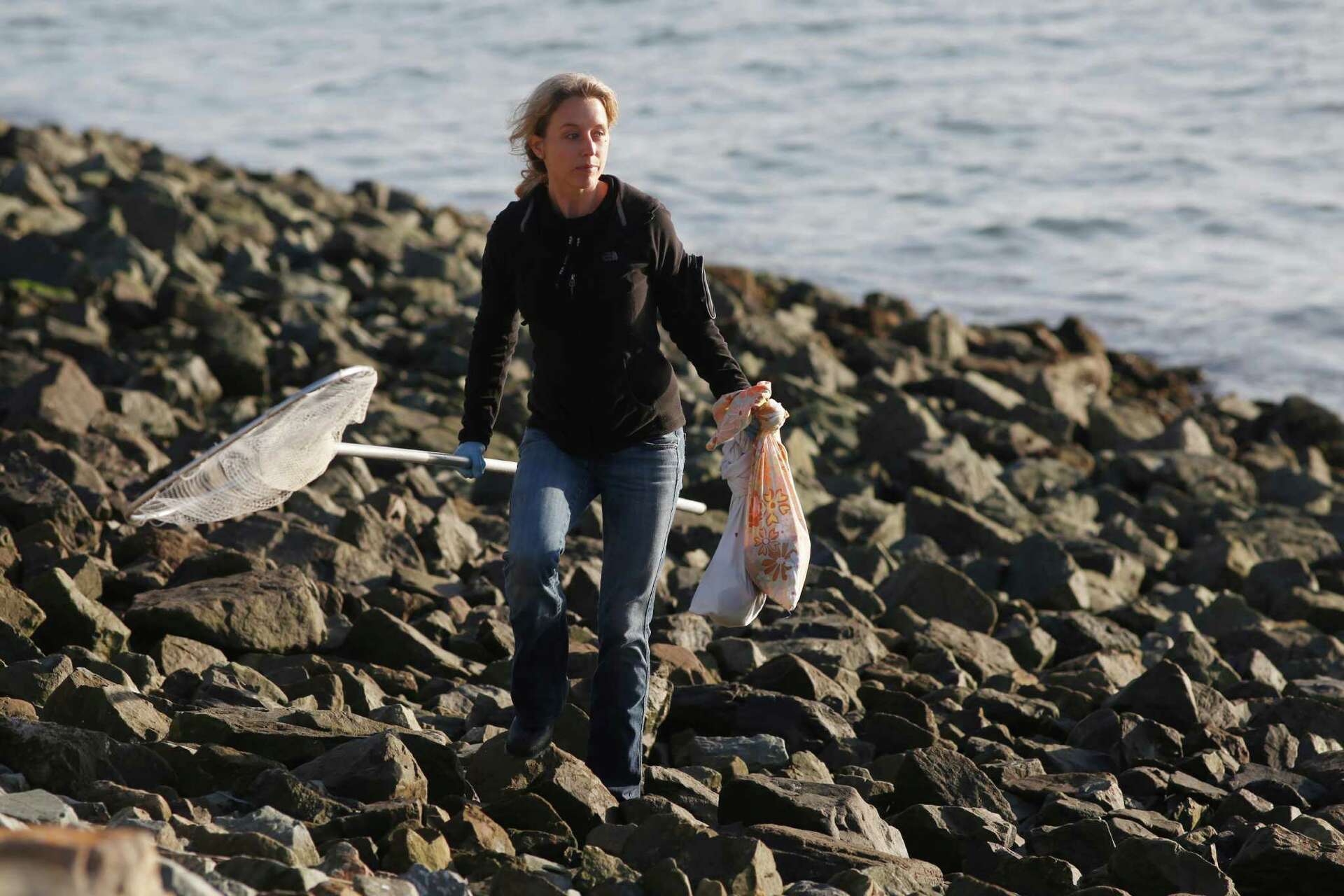 S.F. Bay bird rescue: Mystery goo bedevils experts