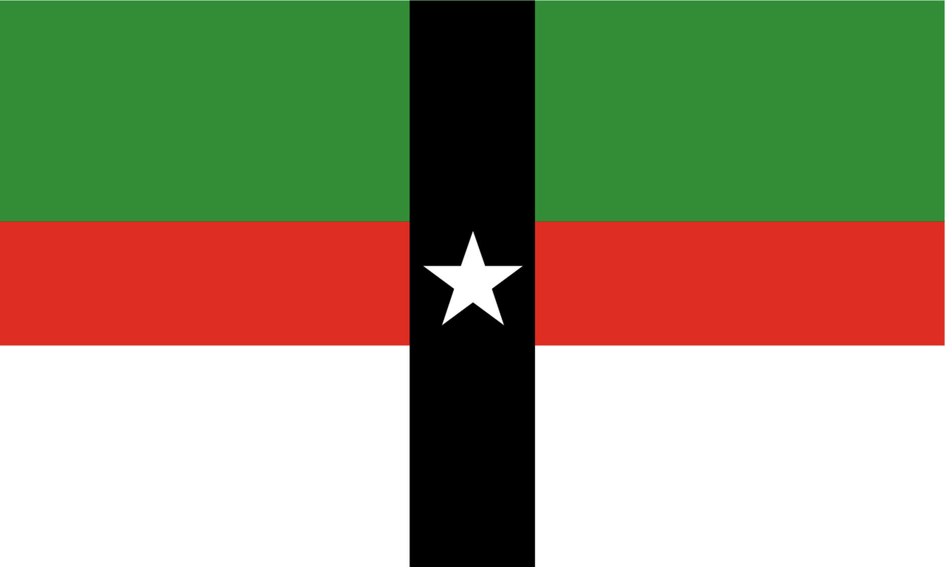 Taking a closer look at Houston's official flag