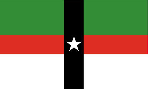 Taking a closer look at Houston's official flag