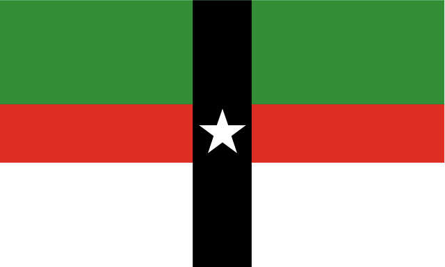 Taking a closer look at Houston's official flag