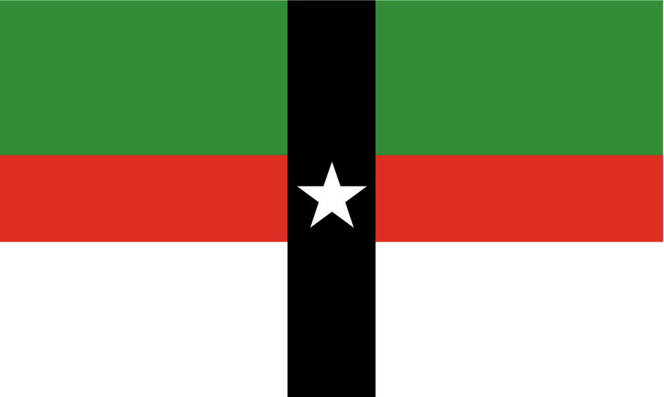 Taking a closer look at Houston's official flag