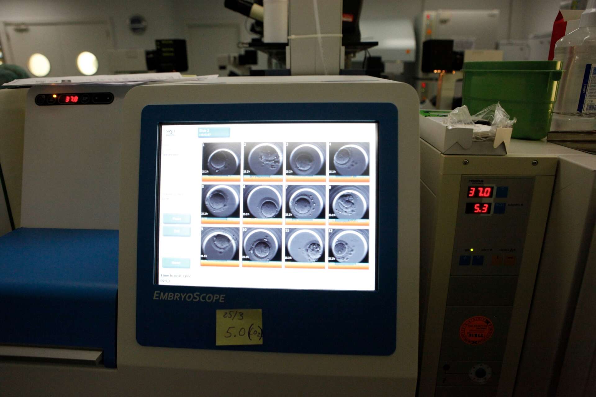 Biohacker famous for injecting self with herpes treatment found dead in ...