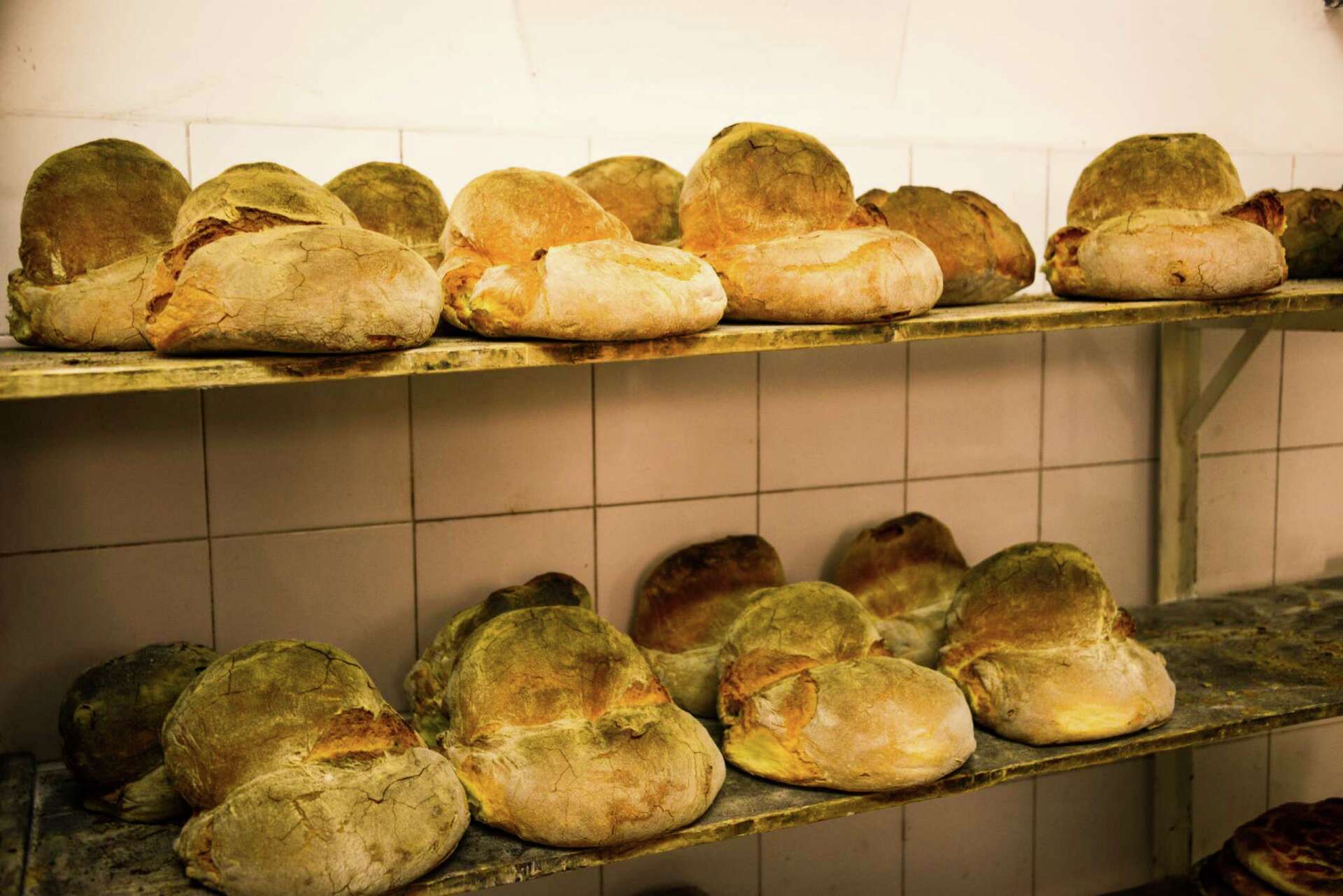 Bread artisans for the ages in southern Italy