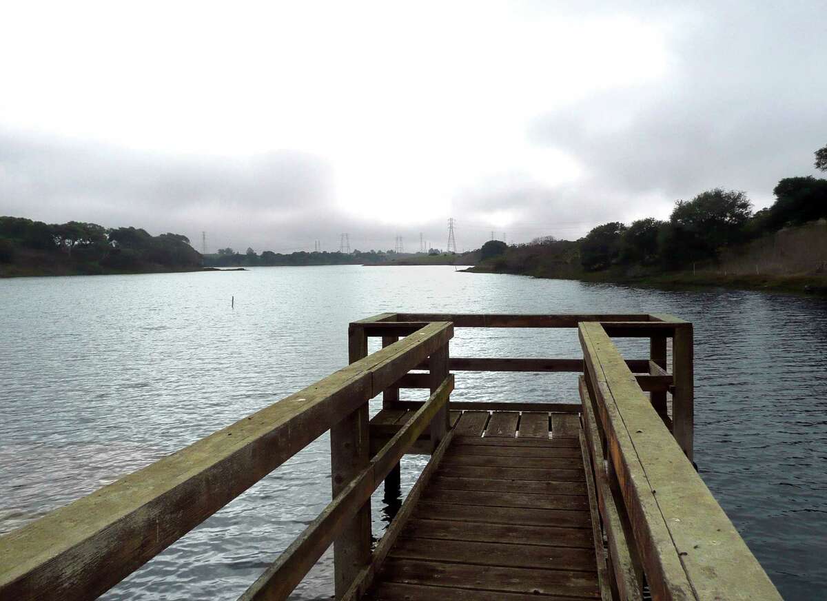 Elkhorn Slough: An outdoor weekend getaway just down the coast