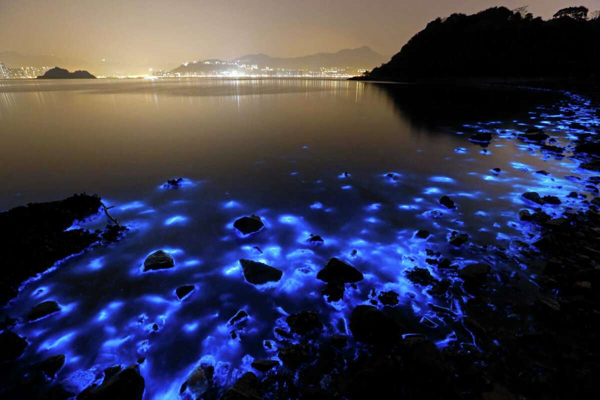 'Sea Sparkle' creates mysterious blue waves in Galveston surf