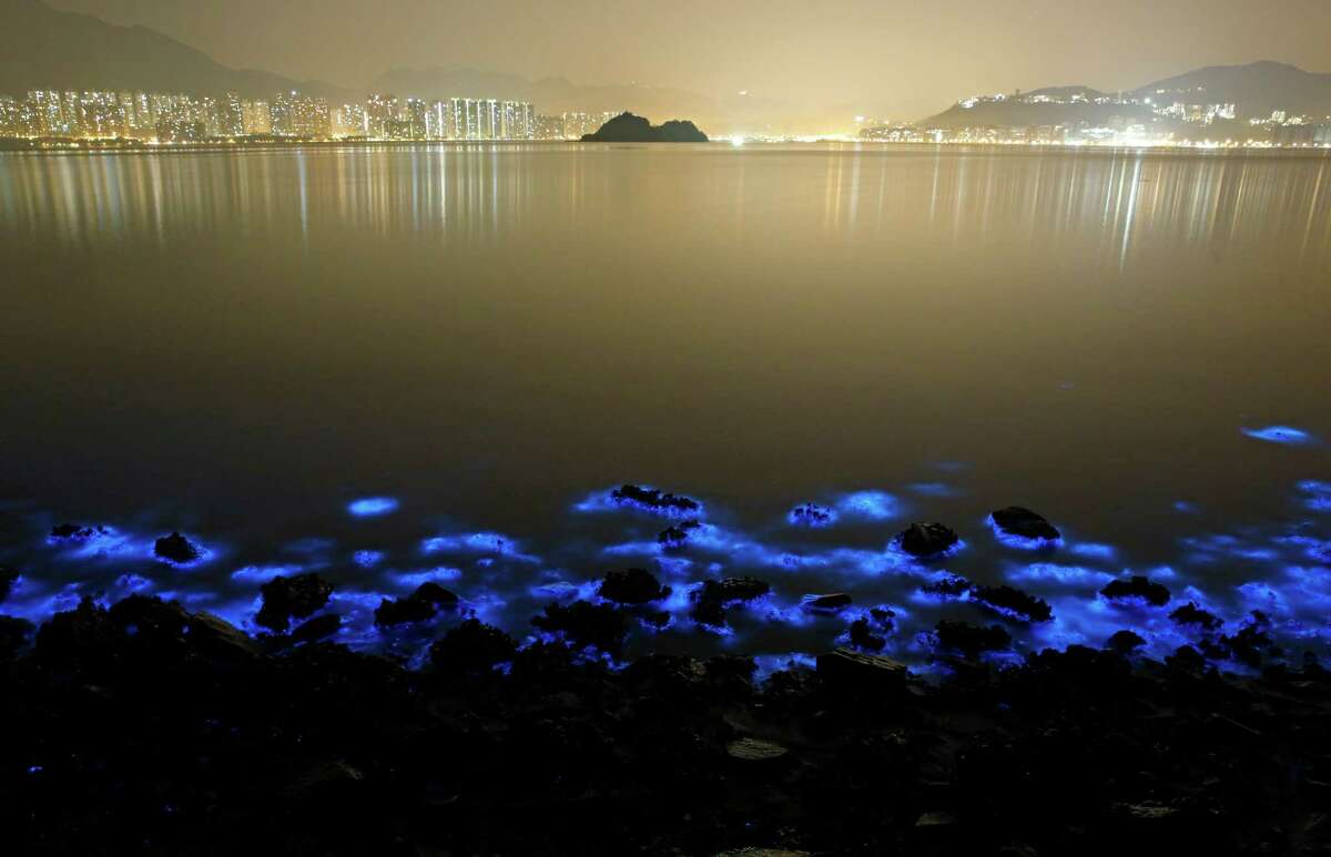 'Sea Sparkle' creates mysterious blue waves in Galveston surf