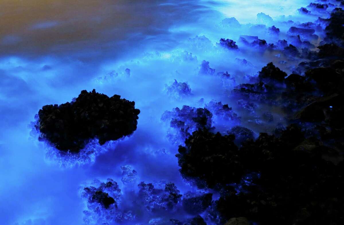 'Sea Sparkle' creates mysterious blue waves in Galveston surf