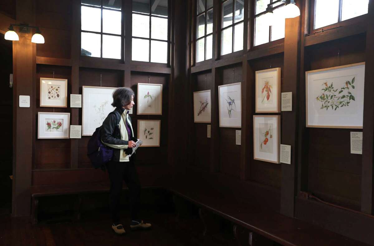 Historic Julia Morgan building reopens at UC Botanical Garden