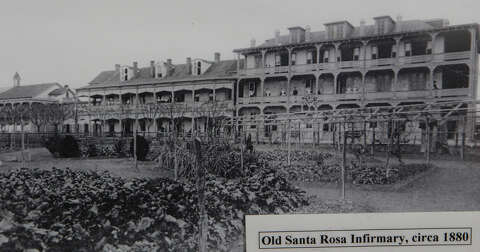 Early primitive conditions led to disease outbreaks