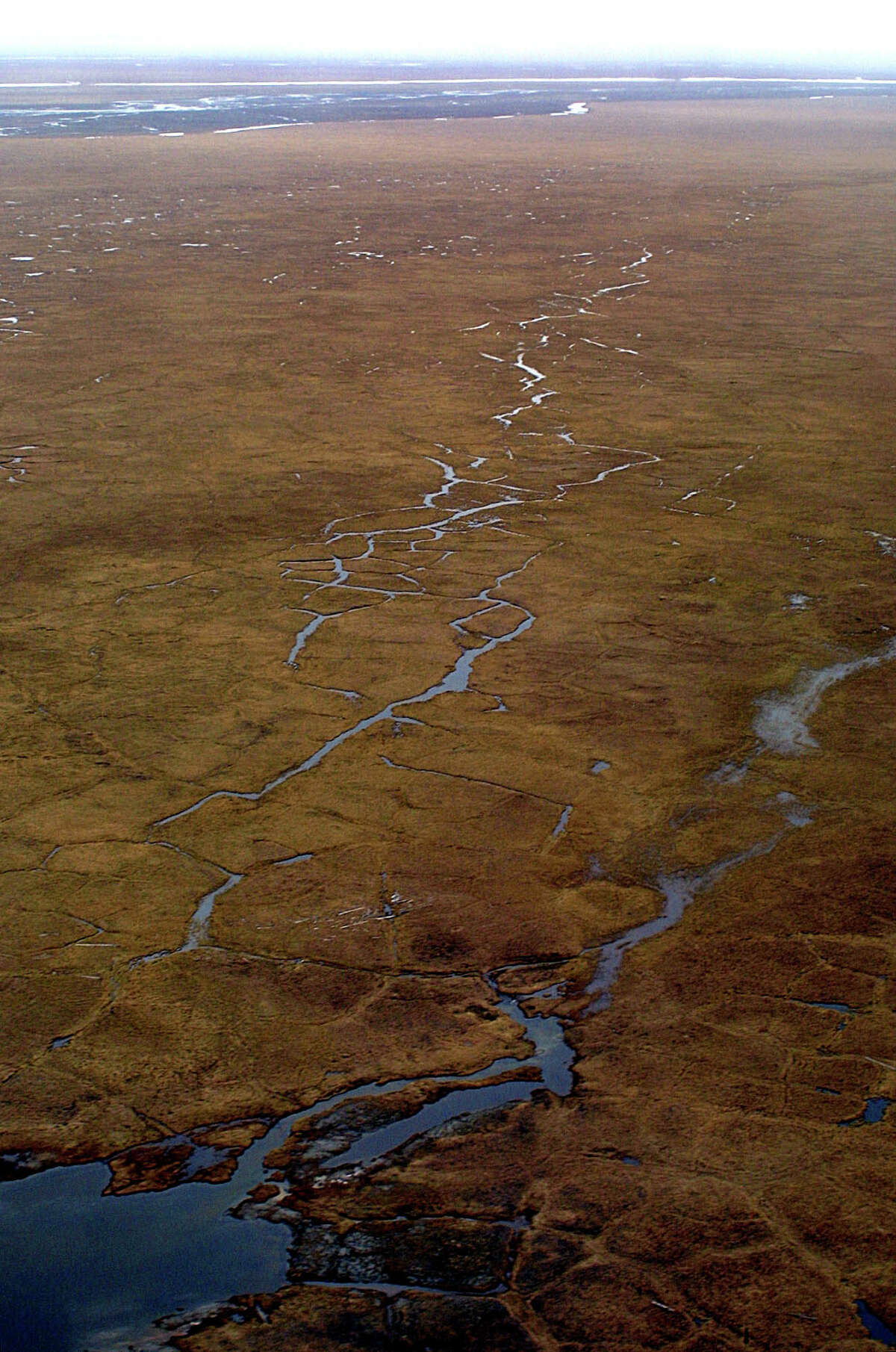 Connelly: A stealth bid to drill Arctic National Wildlife Refuge