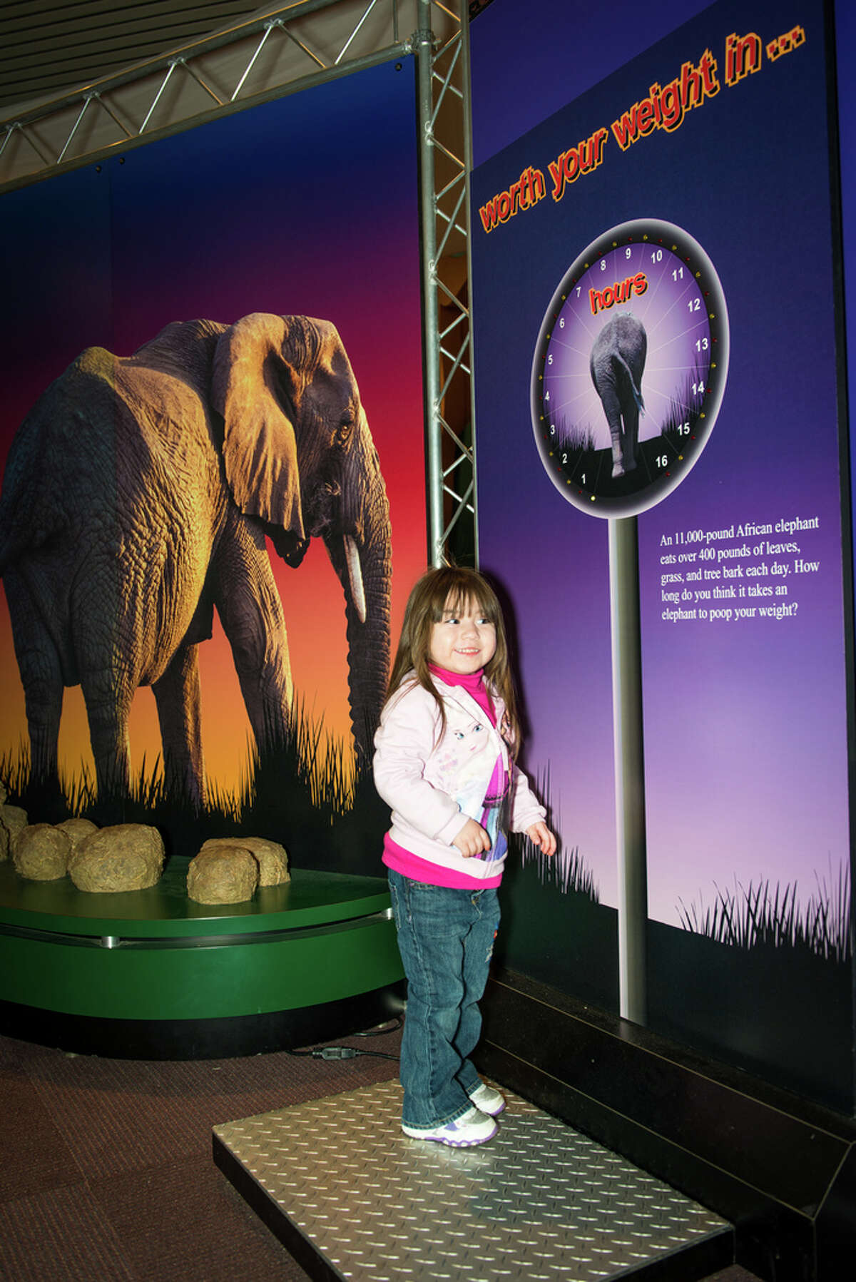 Get "The Scoop on Poop" at the Houston Zoo