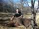 'Gargantuan' wild hog weighing nearly 800 pounds caught in Texas