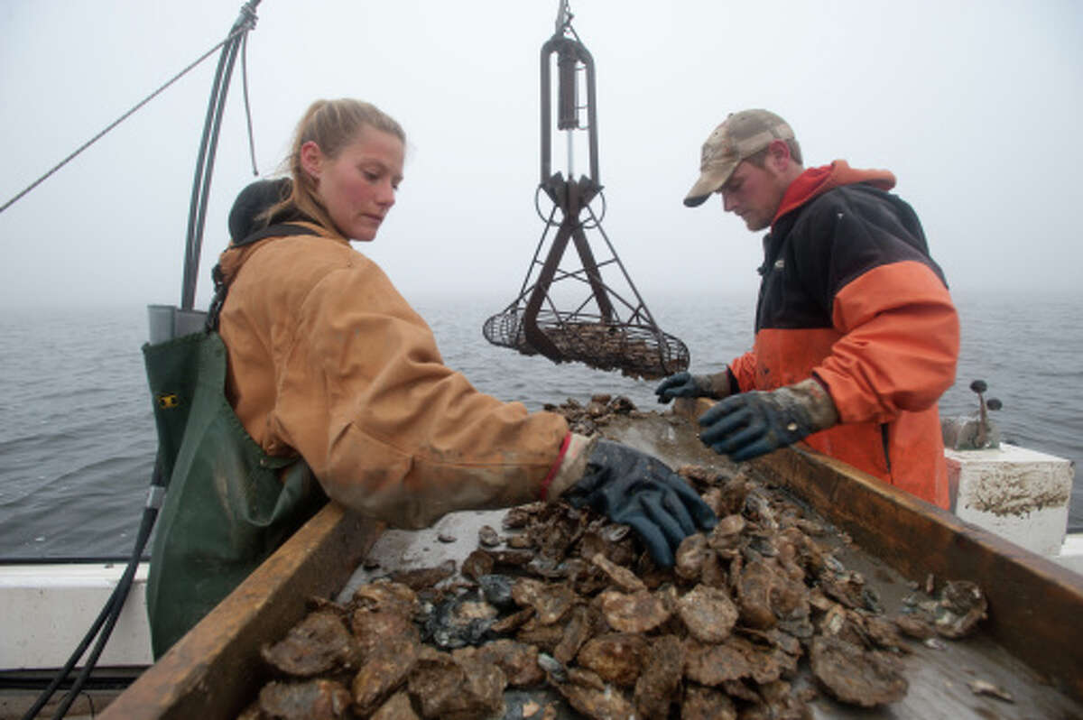 Tales from Texas game warden field logs