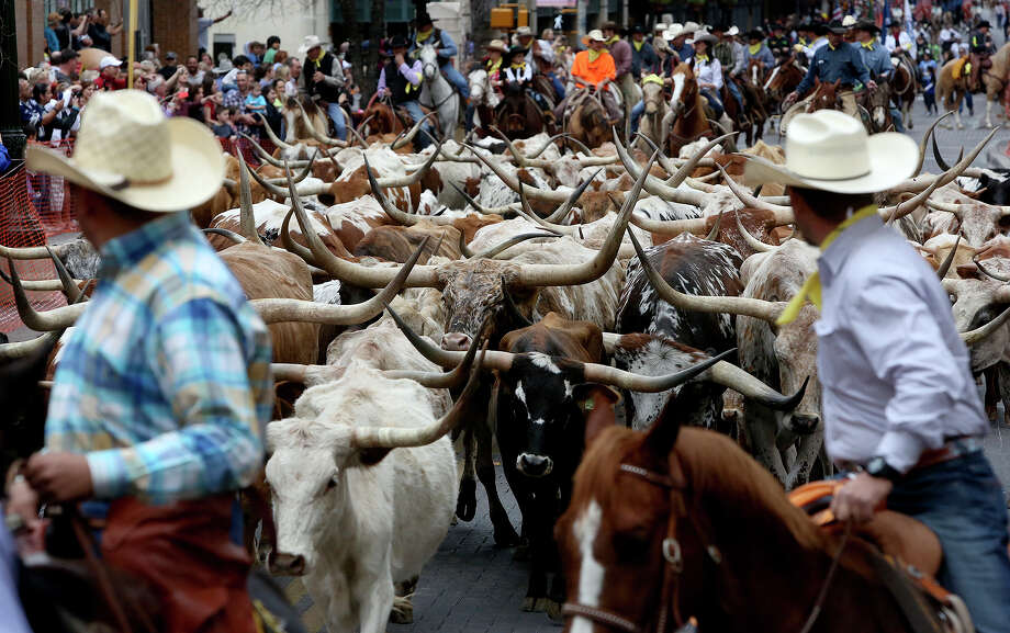 San Antonio was pulse of great cattle drives - San Antonio Express-News
