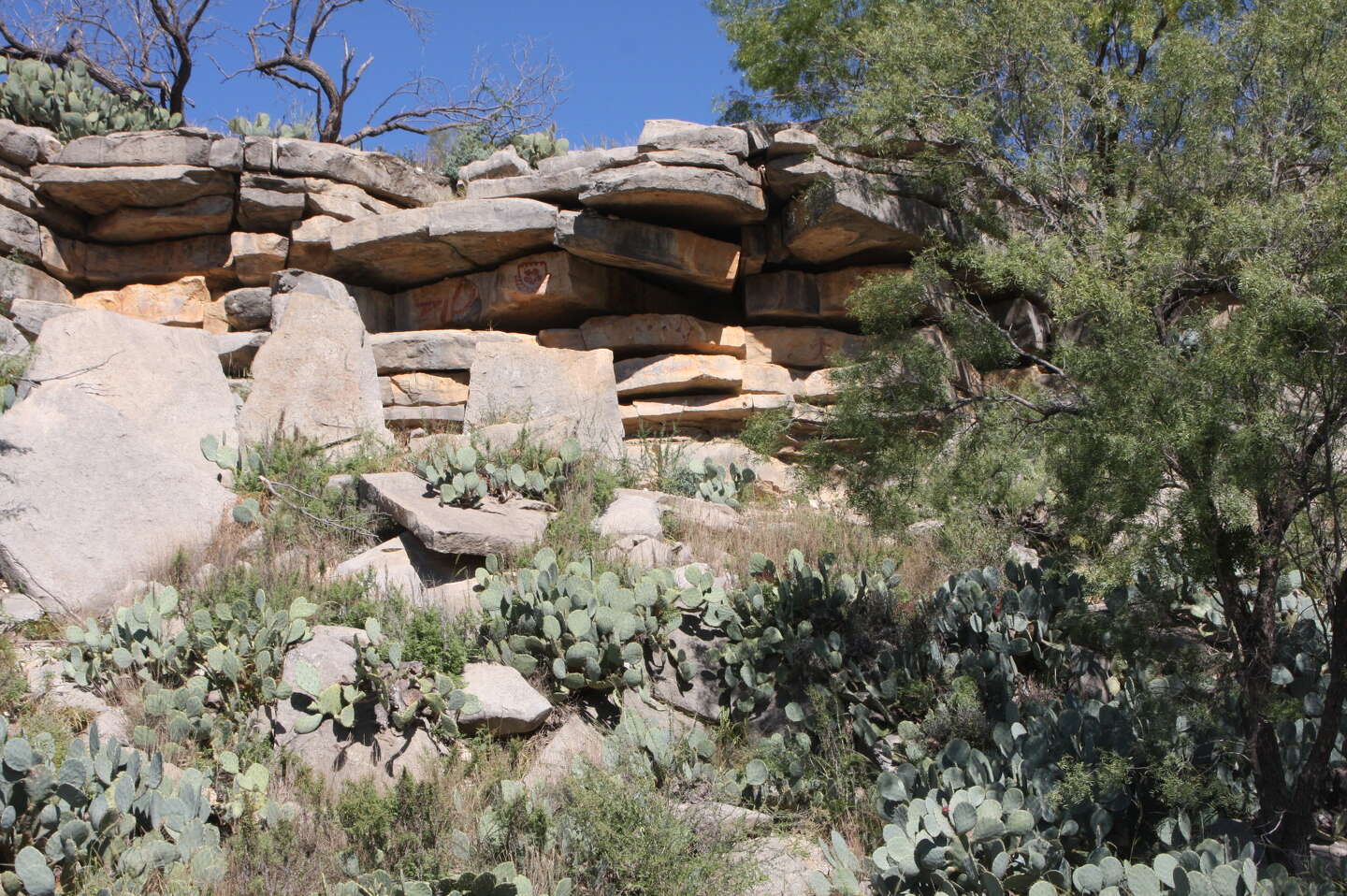 Ancient Texas pictograph mystery solved, Houston researcher says