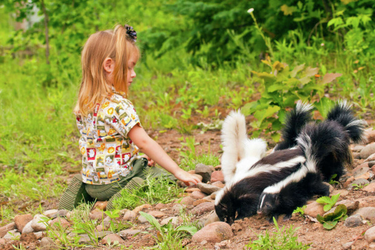 San Antonio firefighters find 11 prohibited exotic, poisonous reptiles ...