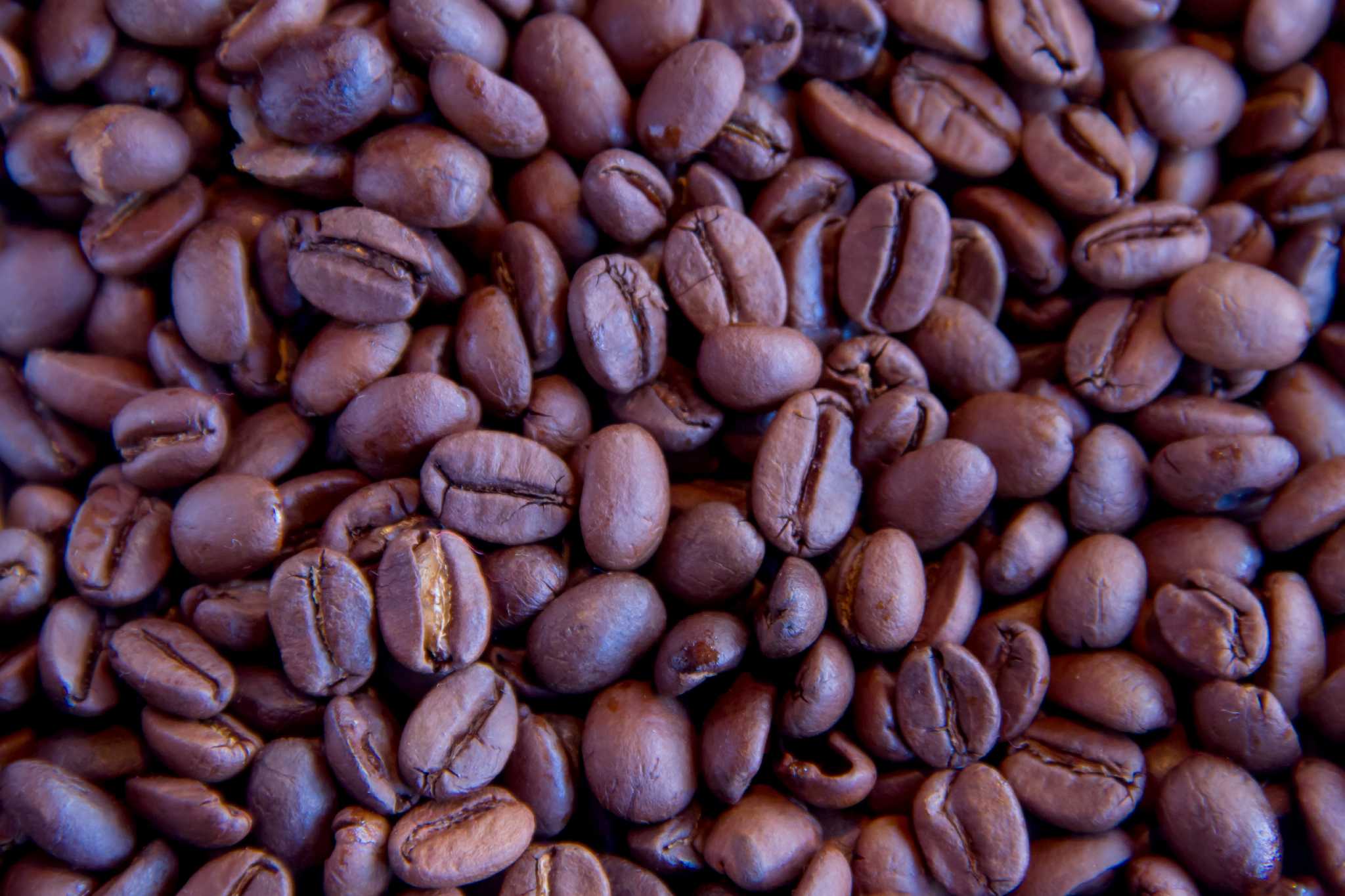 As bees die off, coffee production could plummet more than previously ...