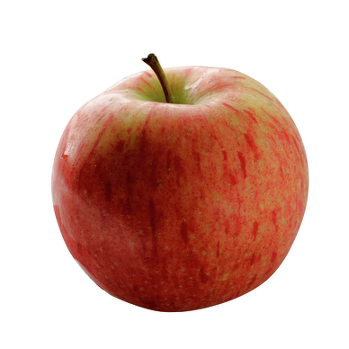 Bare-root fruit trees ripe for planting now