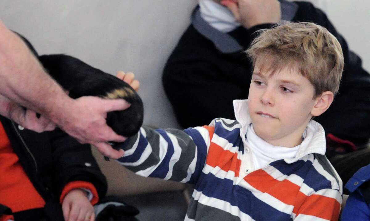 Scouts enjoy day of fun at nature center