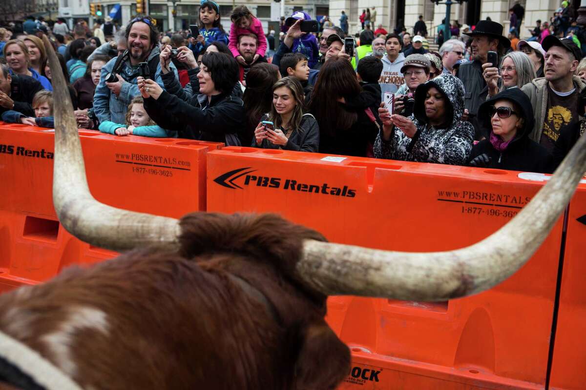 Annual Western Heritage Parade & Cattle Drive