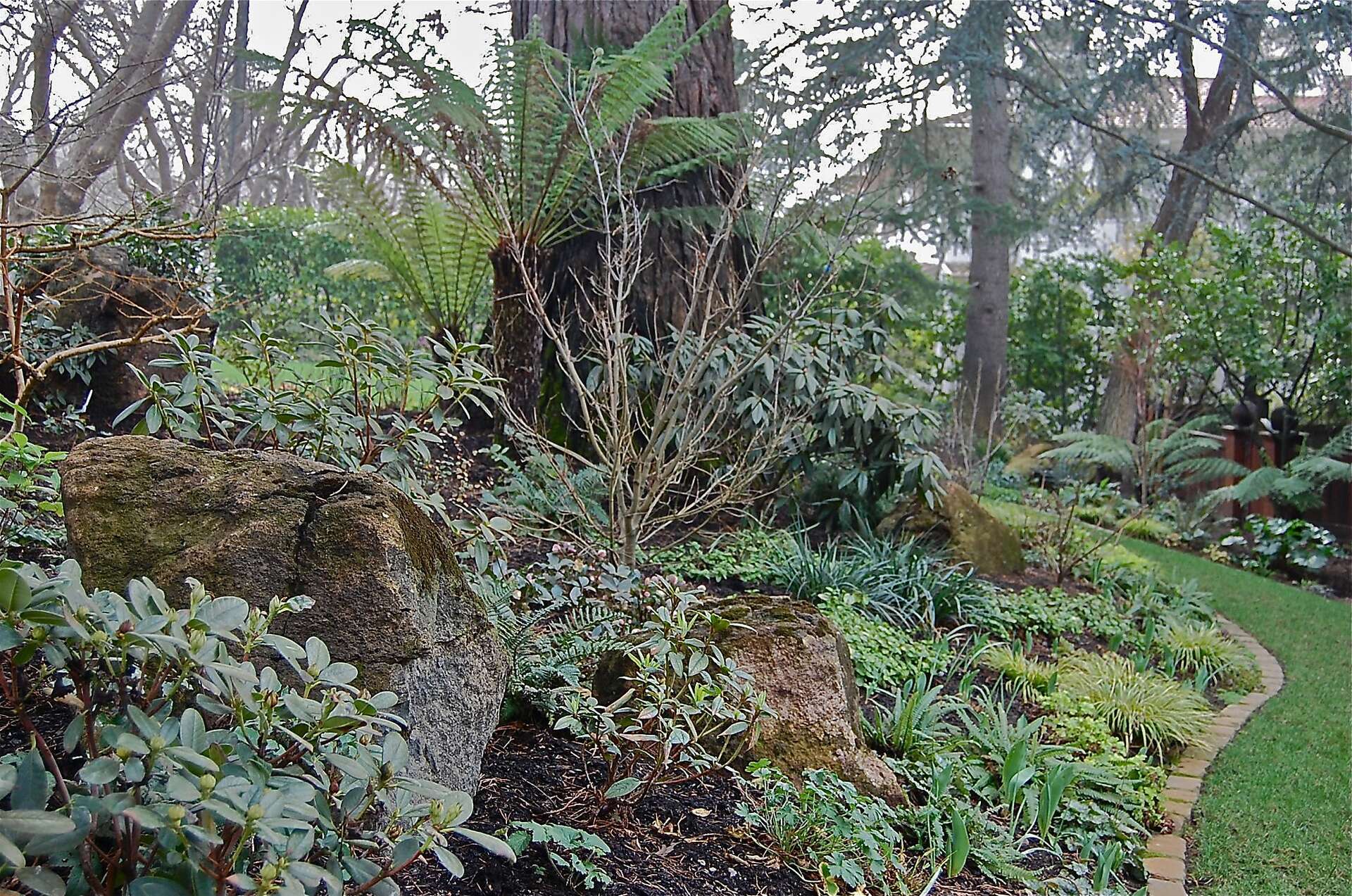 Q&A with Sarah Herman, Berkeley landscape designer