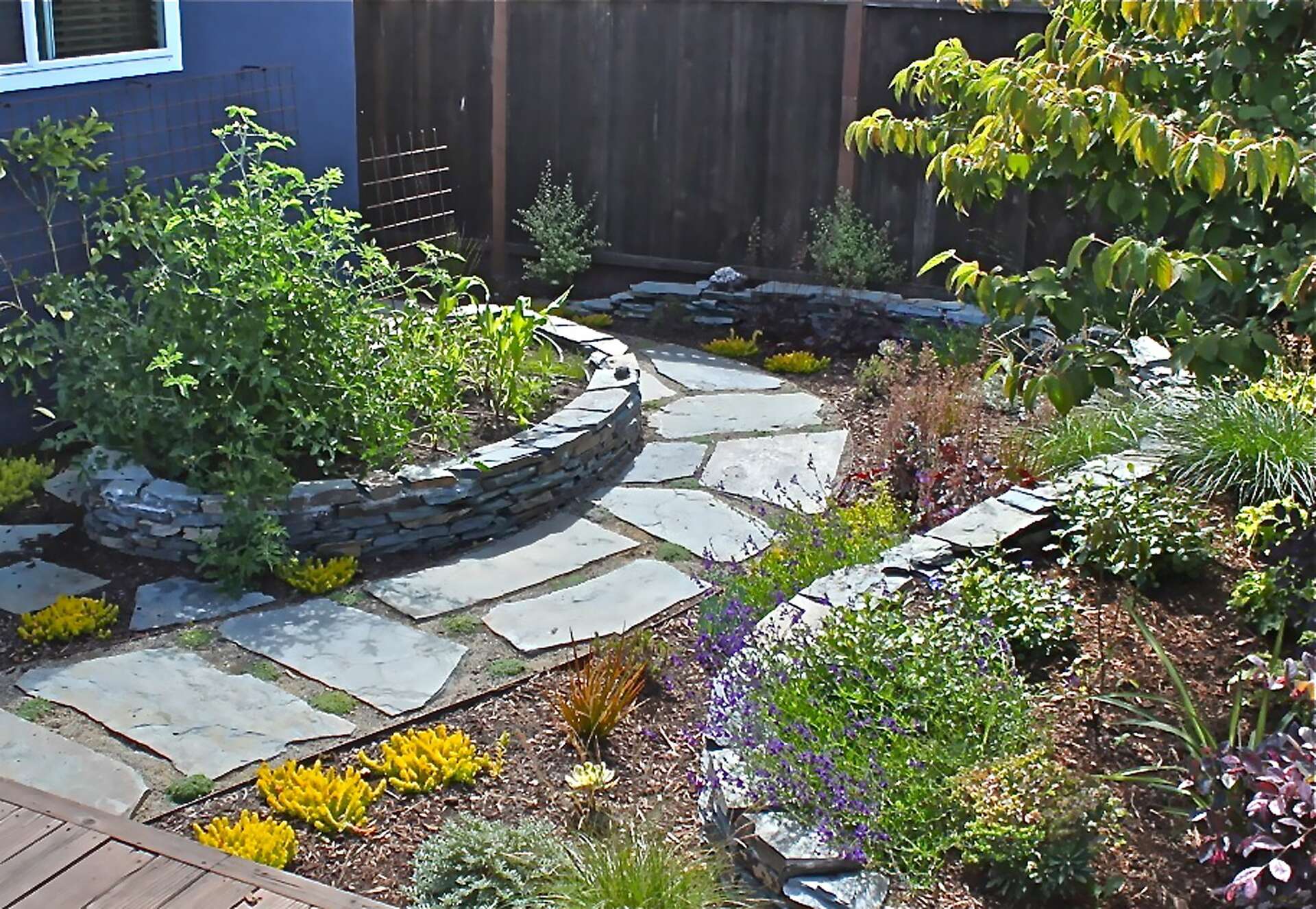 Q&A with Sarah Herman, Berkeley landscape designer