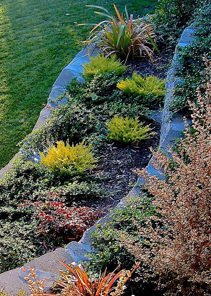 Q&A with Sarah Herman, Berkeley landscape designer