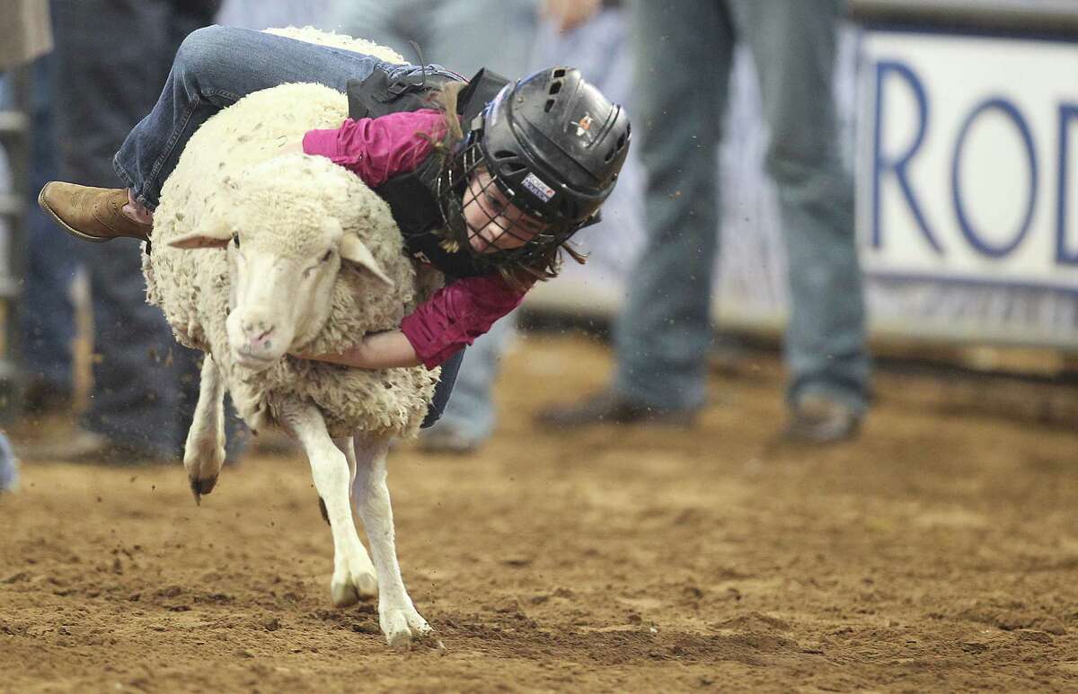 Mutton busting is serious business at RodeoHouston
