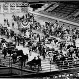 Looking back at the history of the rodeo - Houston Chronicle