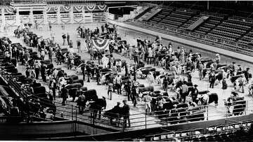 How the 'Fat Stock Show' became RodeoHouston