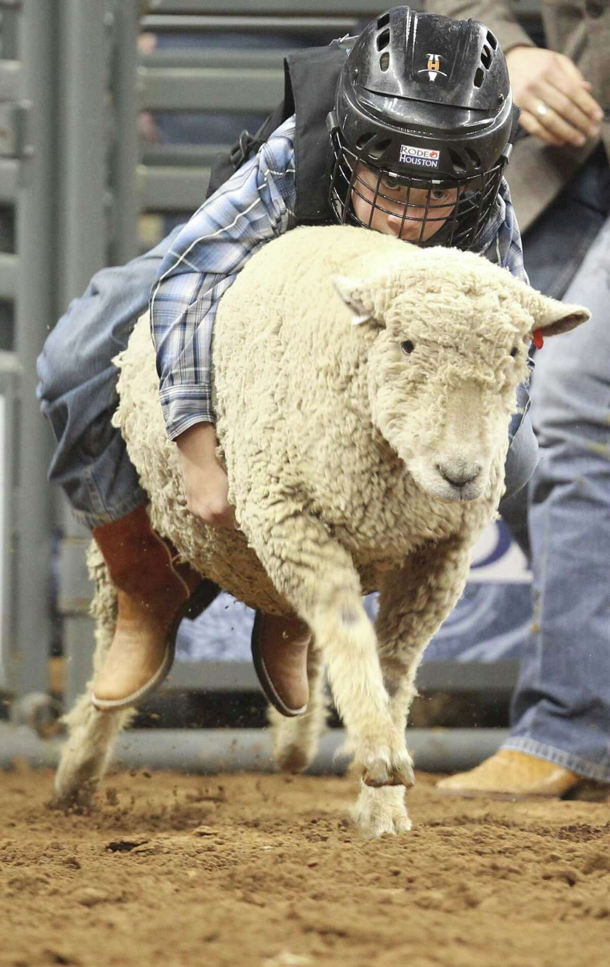 Looking back at the history of the rodeo