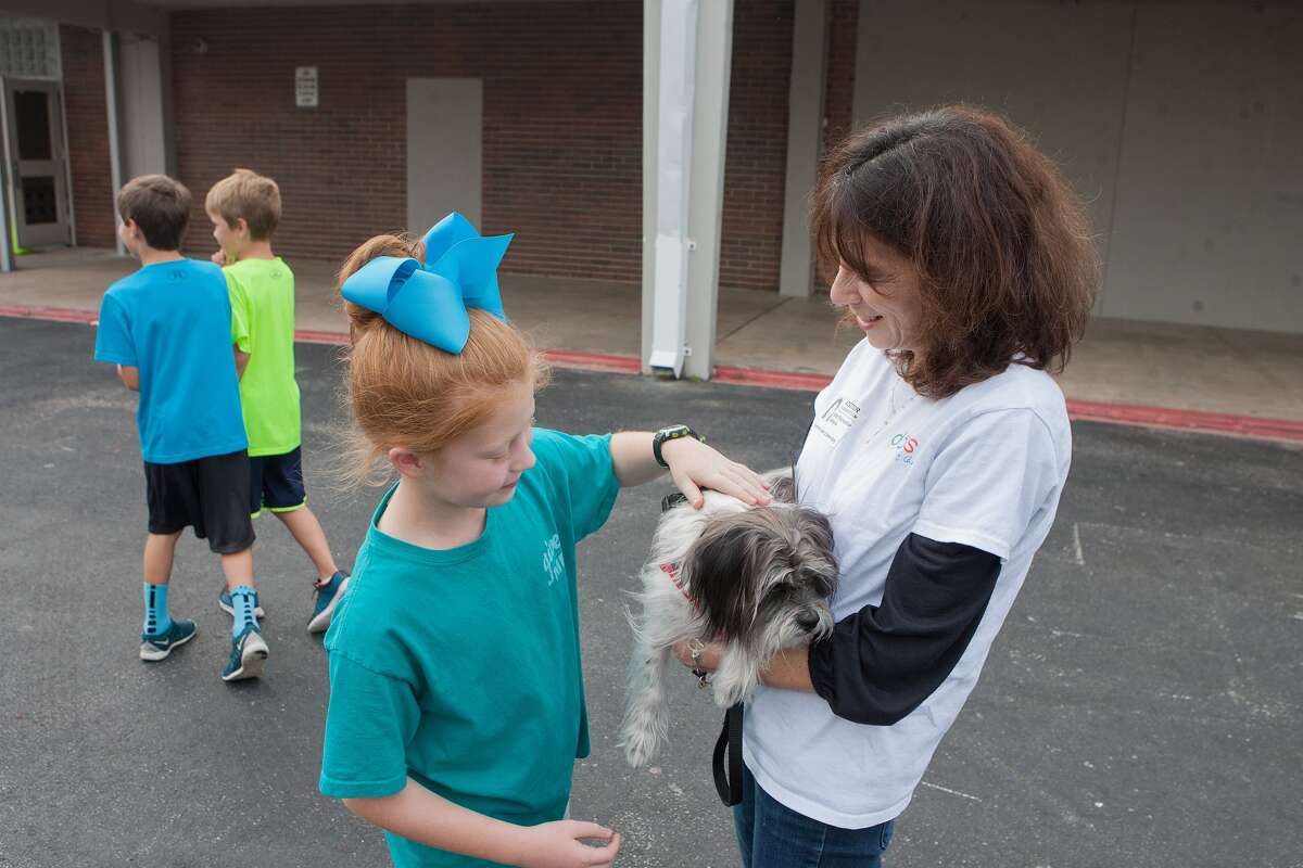Rummel Creek pupils learn from rescue dogs