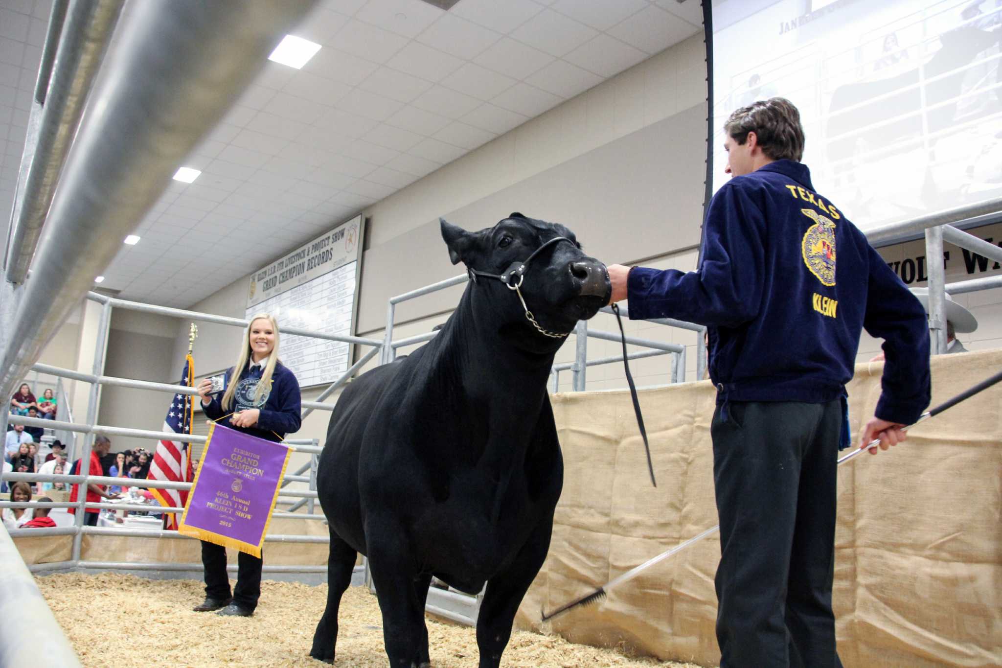 Klein, Tomball FFA shows generate $1.1 million in sales