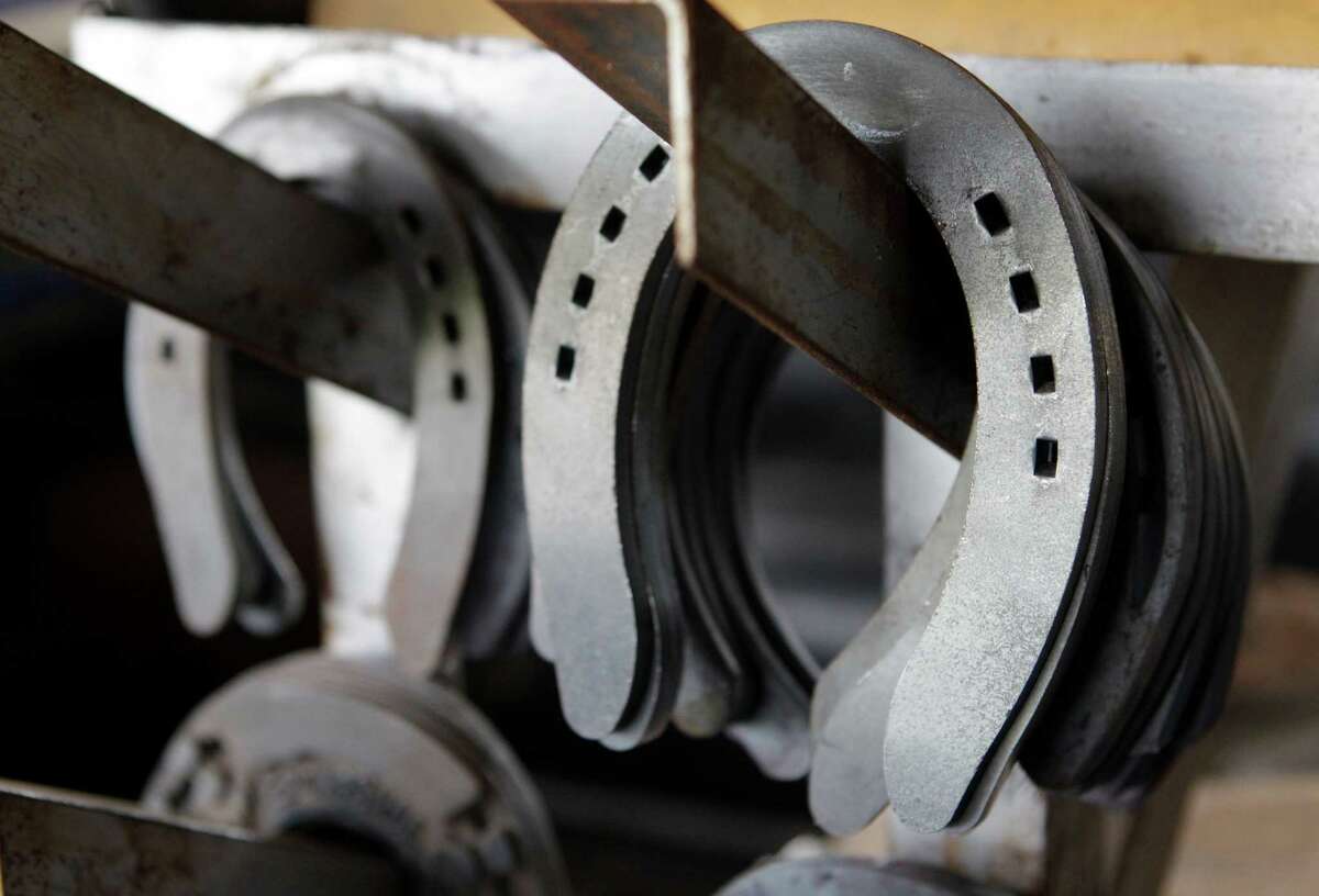 Farrier's work is no horseplay