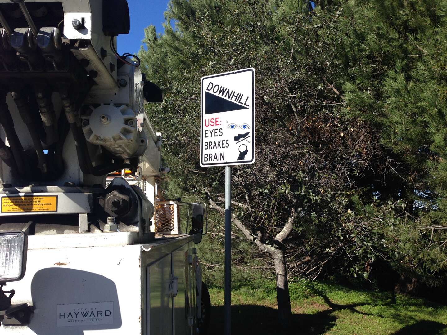 'Heads up!’ Hayward debuts snarky traffic signs