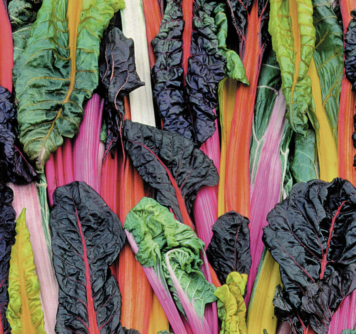 Seed Savers Exchange celebrates 40 years of heirloom crops