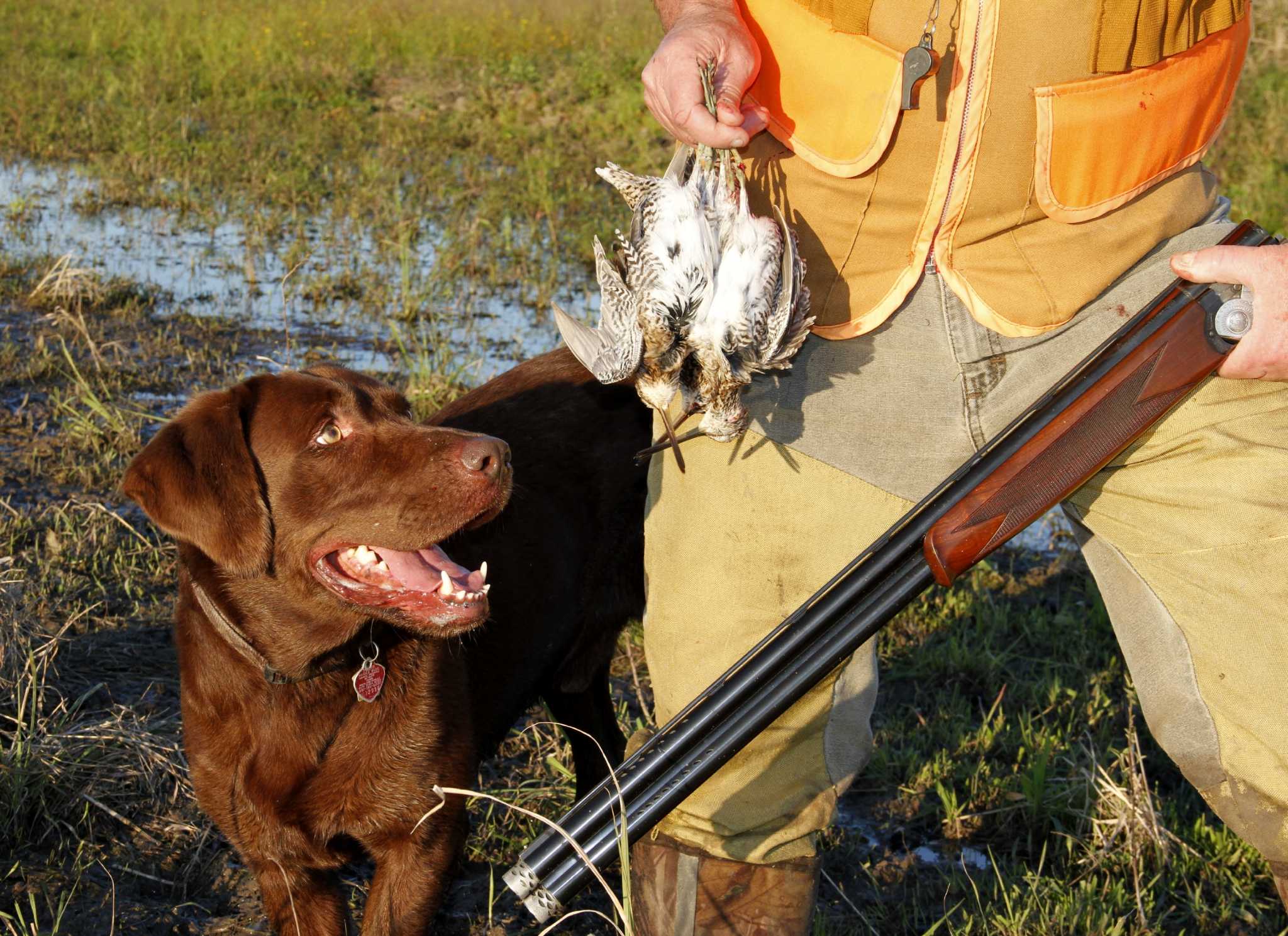 Past, present intertwine in snipe hunt