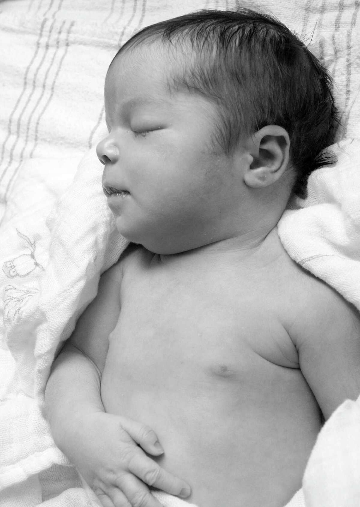 Volunteer photographers preserve families' memories of babies lost at birth
