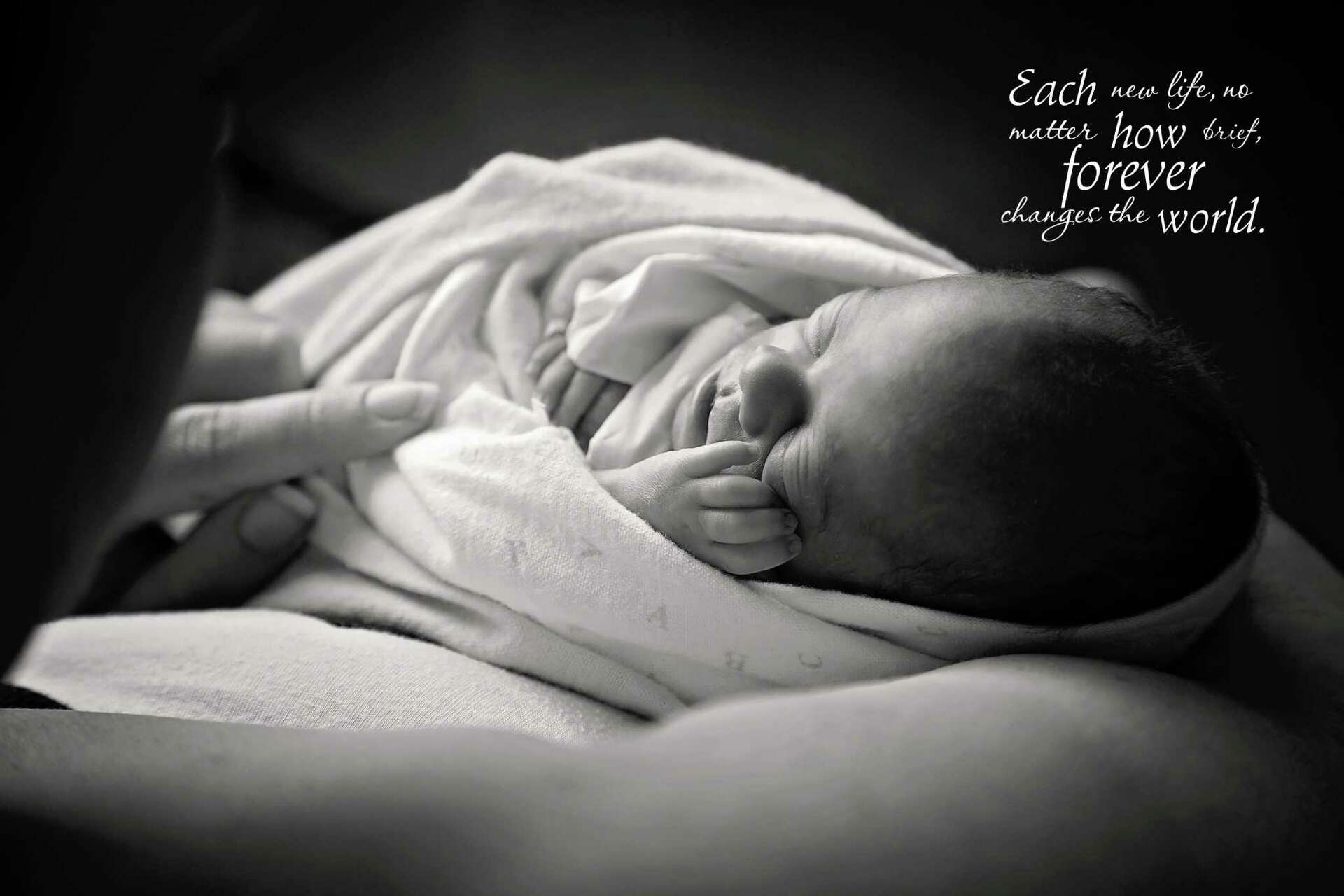 Volunteer photographers preserve families' memories of babies lost at birth