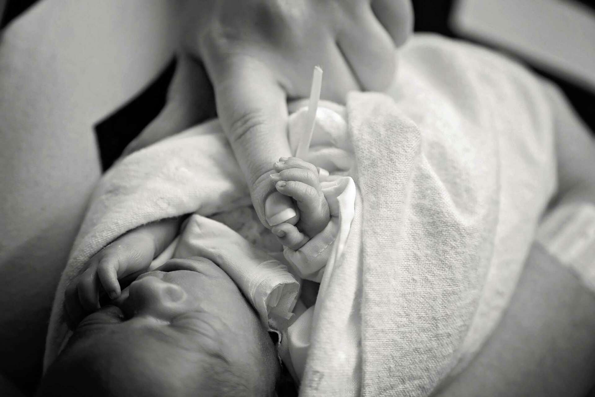 Volunteer photographers preserve families' memories of babies lost at birth